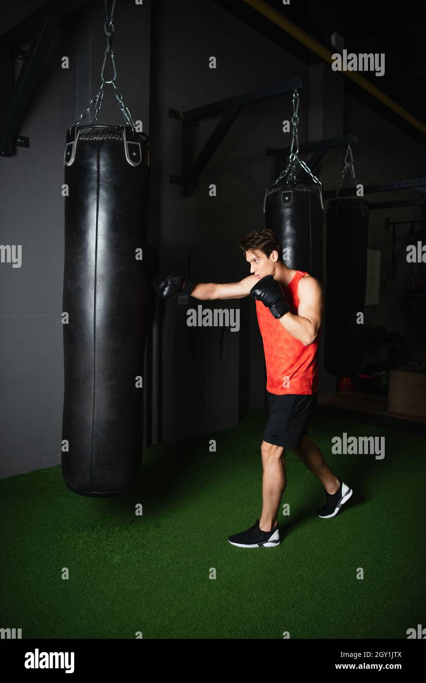 full length view of boxer working out with punching bag in sports ...