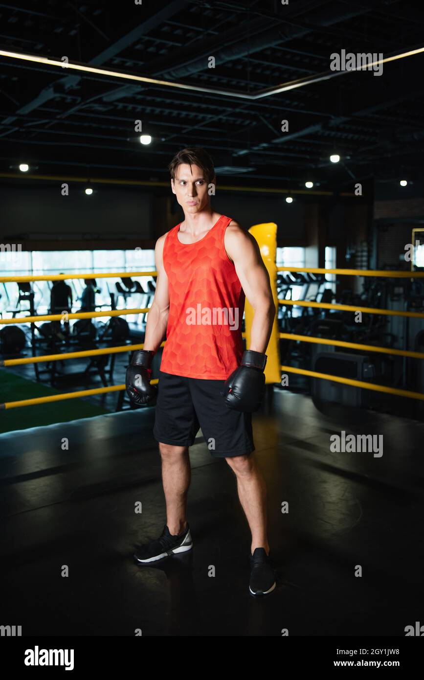 full length view of boxer looking away while standing in boxing ring ...