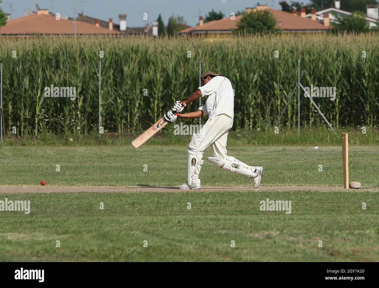 Cricket, game, sport, athletes, team Stock Photo - Alamy
