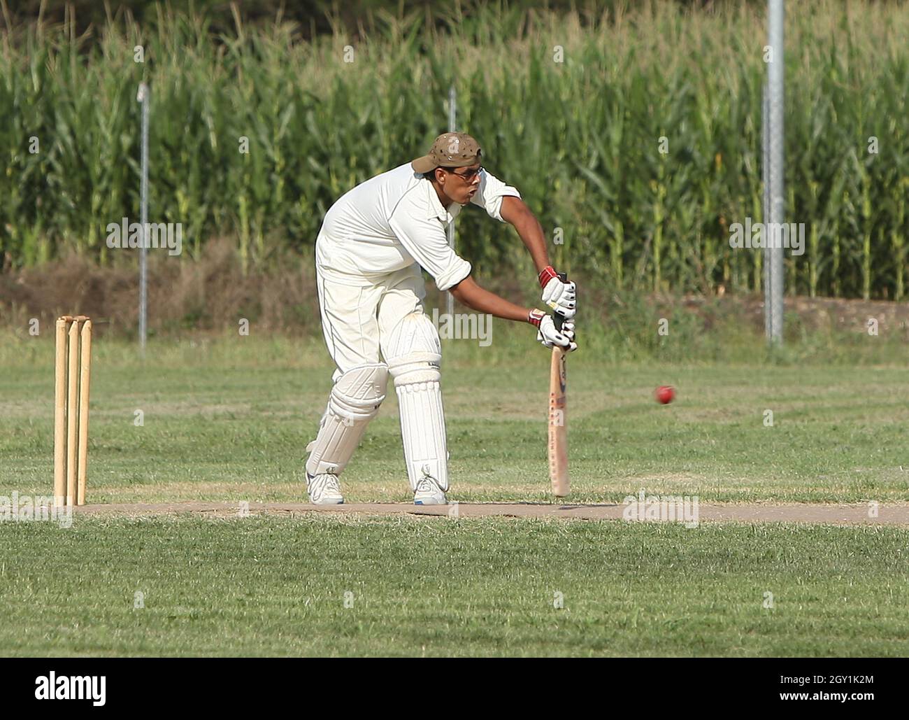 Cricket, game, sport, athletes, team Stock Photo - Alamy