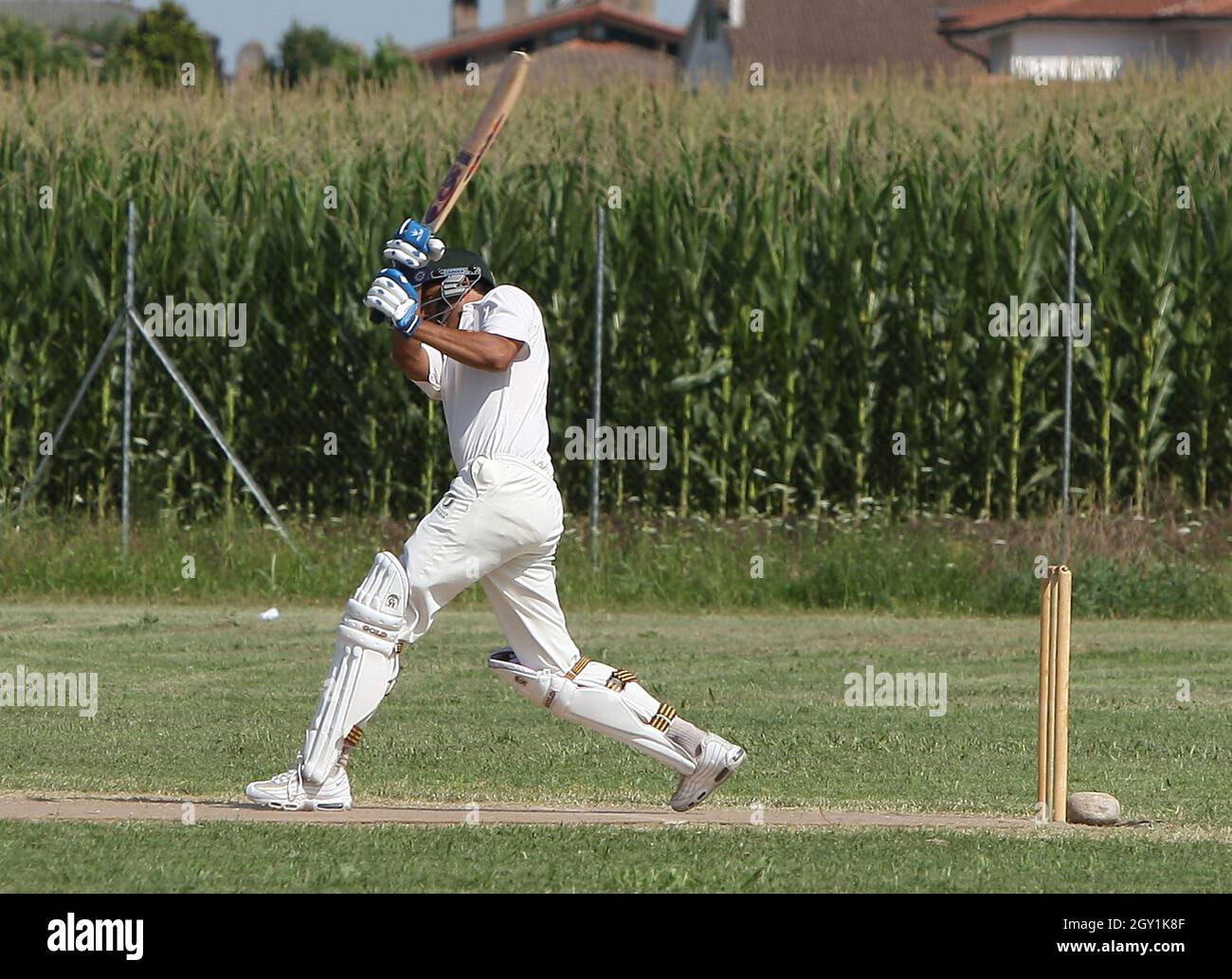 Cricket, game, sport, athletes, team Stock Photo - Alamy
