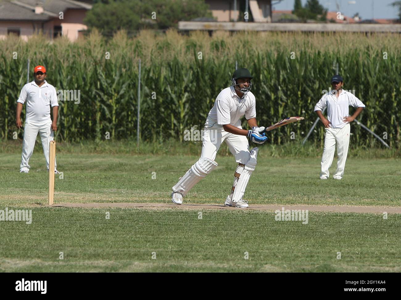 Cricket, game, sport, athletes, team Stock Photo - Alamy