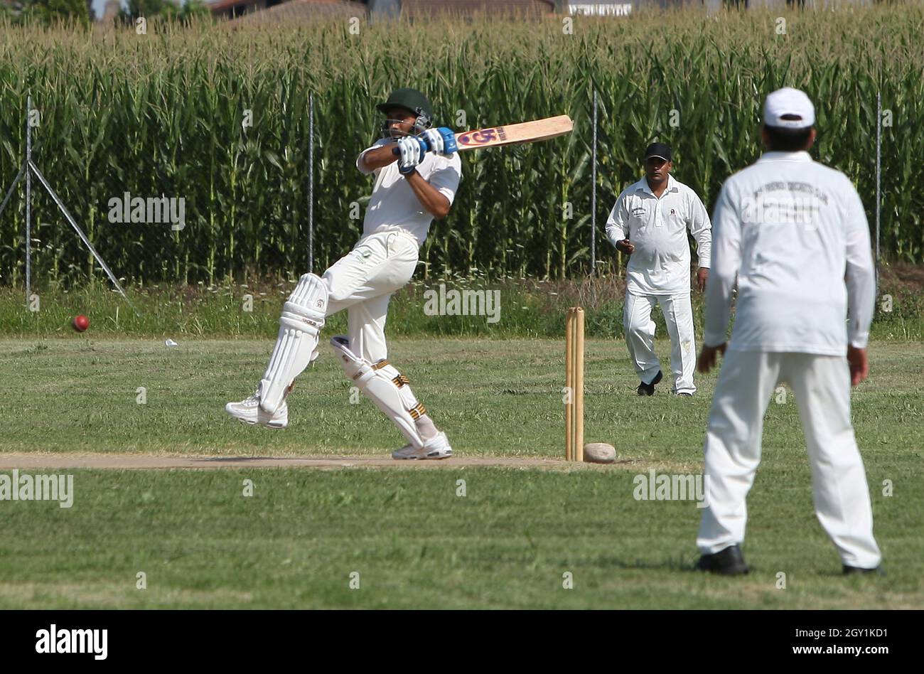 Cricket, game, sport, athletes, team Stock Photo - Alamy