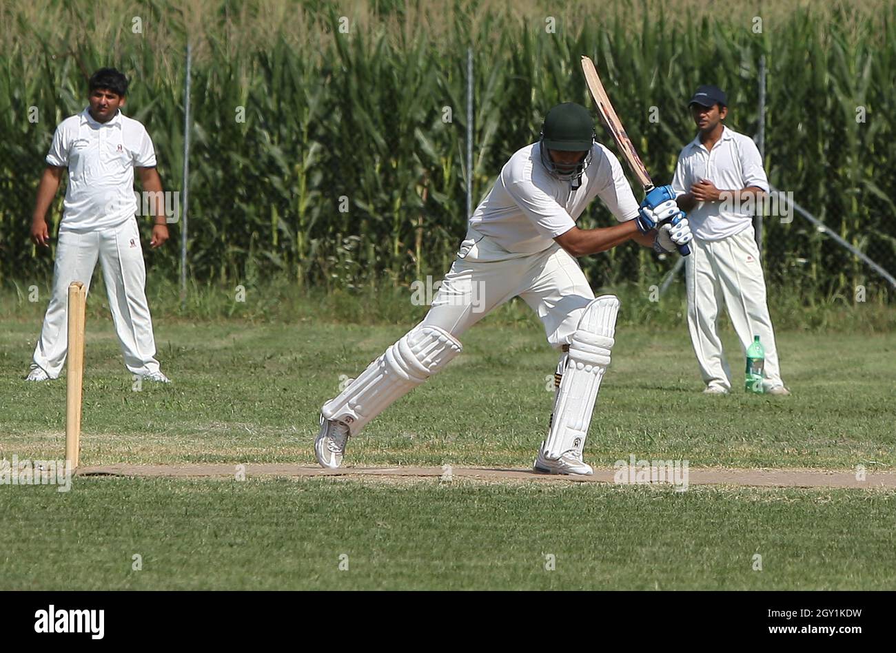 Cricket, game, sport, athletes, team Stock Photo - Alamy