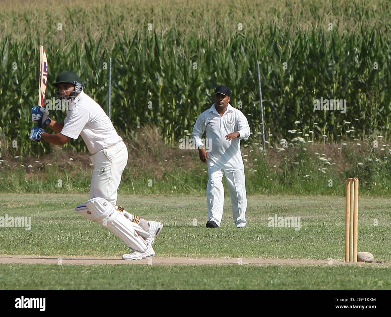 Cricket, game, sport, athletes, team Stock Photo - Alamy