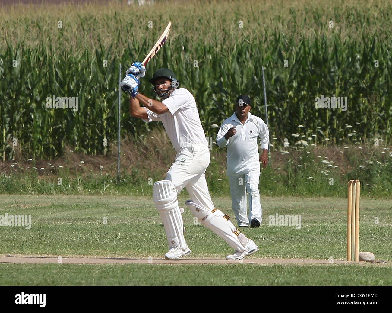 Cricket, game, sport, athletes, team Stock Photo - Alamy