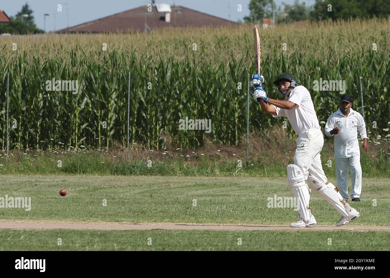 Cricket, game, sport, athletes, team Stock Photo - Alamy