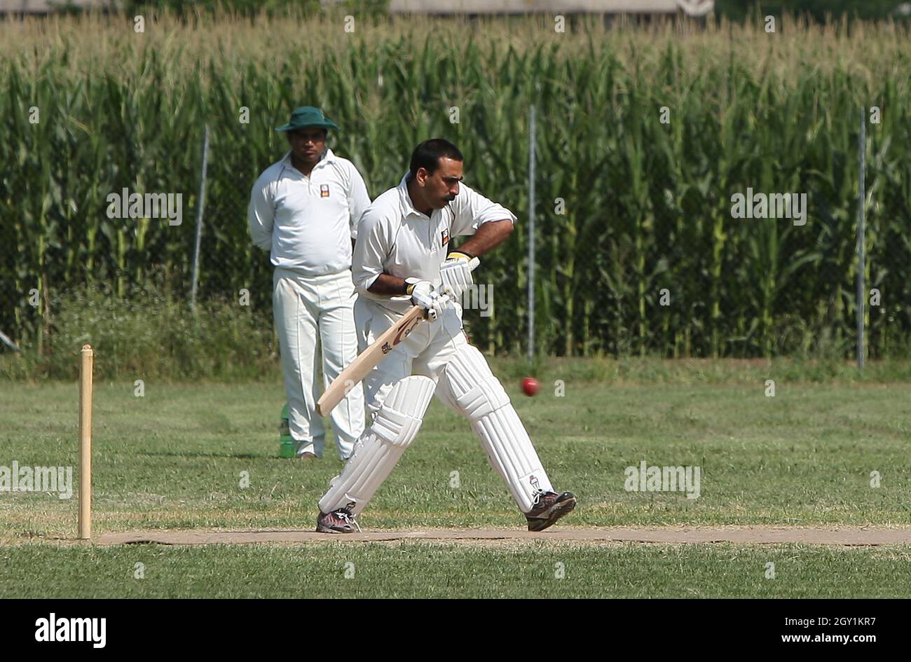 Cricket, game, sport, athletes, team Stock Photo - Alamy