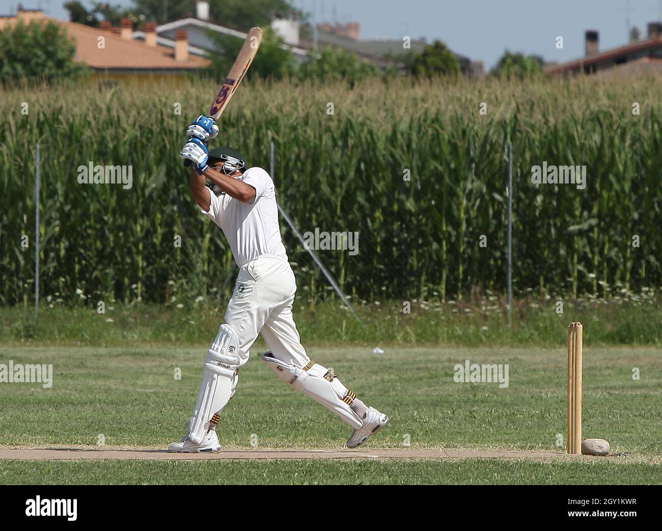 Cricket, game, sport, athletes, team Stock Photo - Alamy