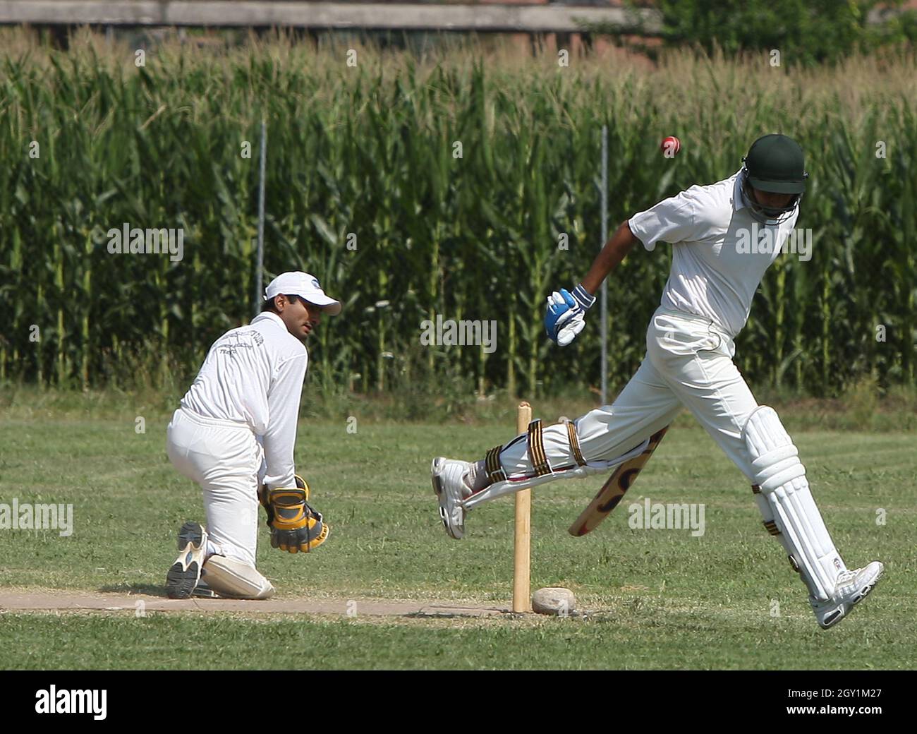 Cricket, game, sport, athletes, team Stock Photo - Alamy