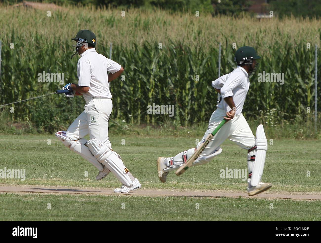 Cricket players run for the crease hi-res stock photography and images ...