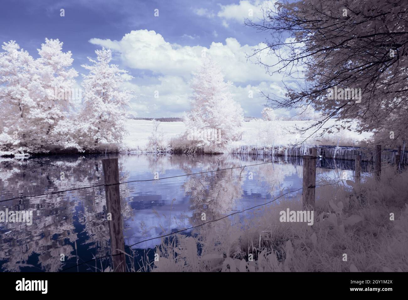 Infrared landscape with glowing white vegetation using 720nm filter ...