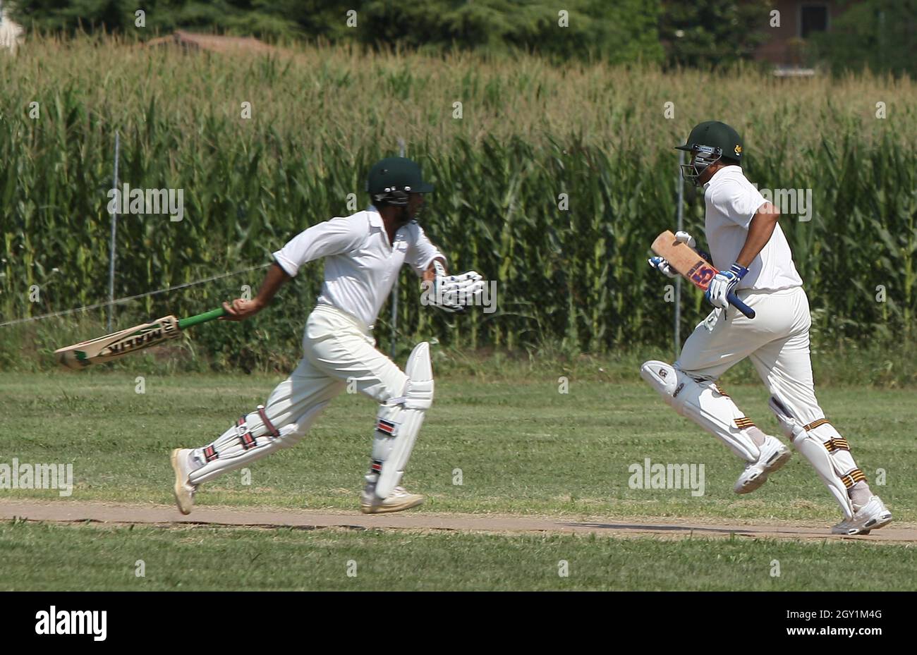 Cricket, game, sport, athletes, team Stock Photo - Alamy
