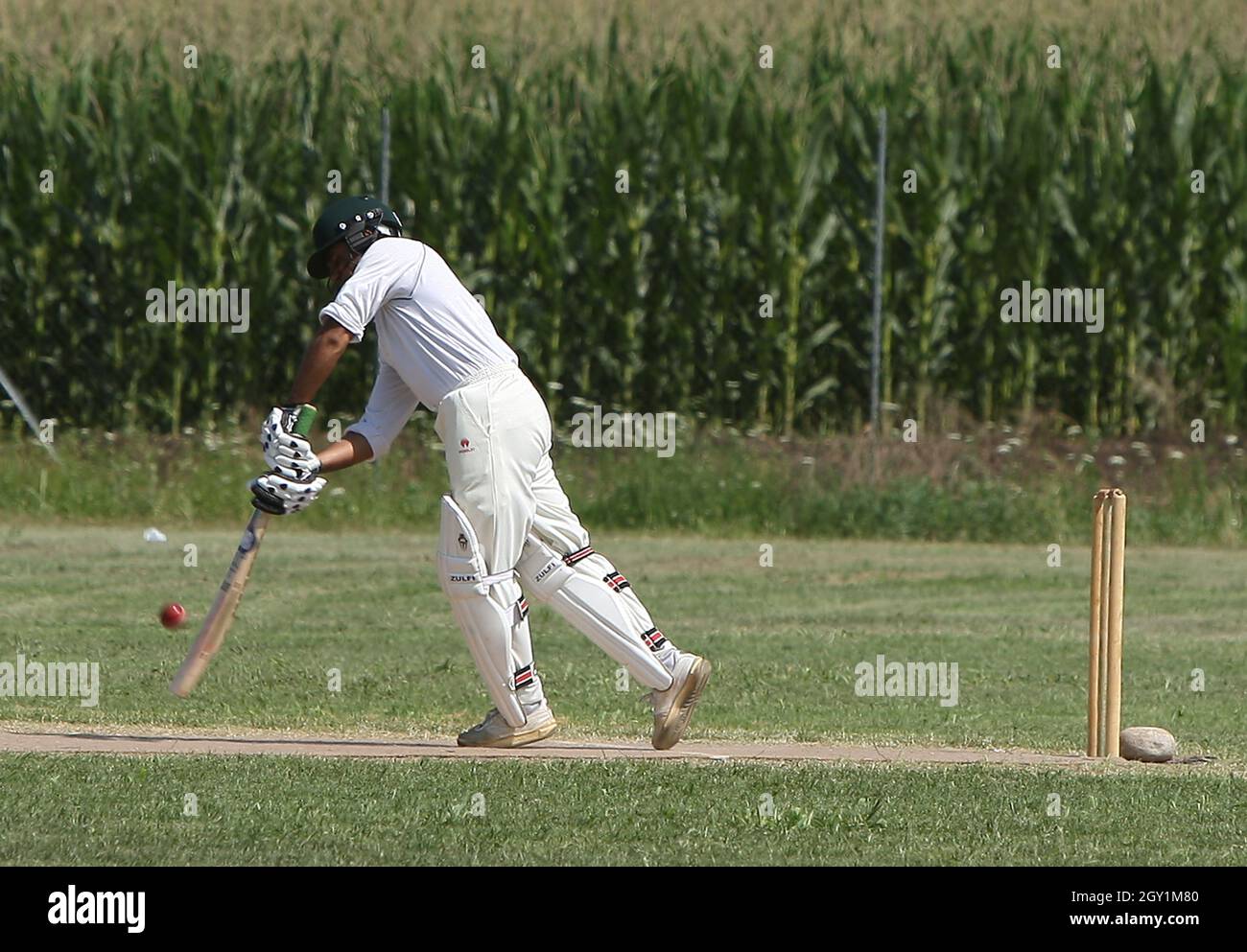 Cricket, game, sport, athletes, team Stock Photo - Alamy