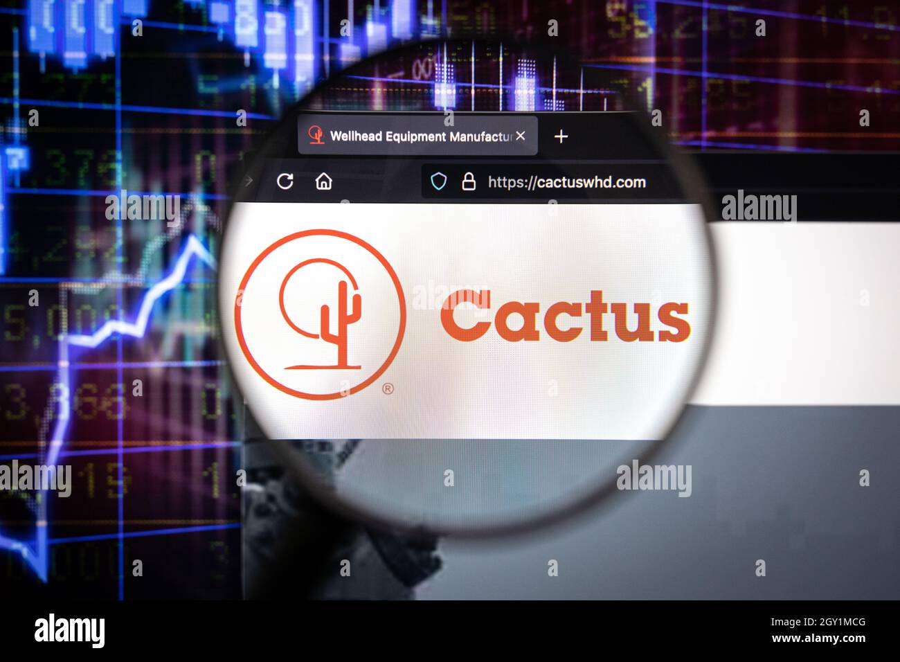 Cactus logo hi-res stock photography and images - Alamy
