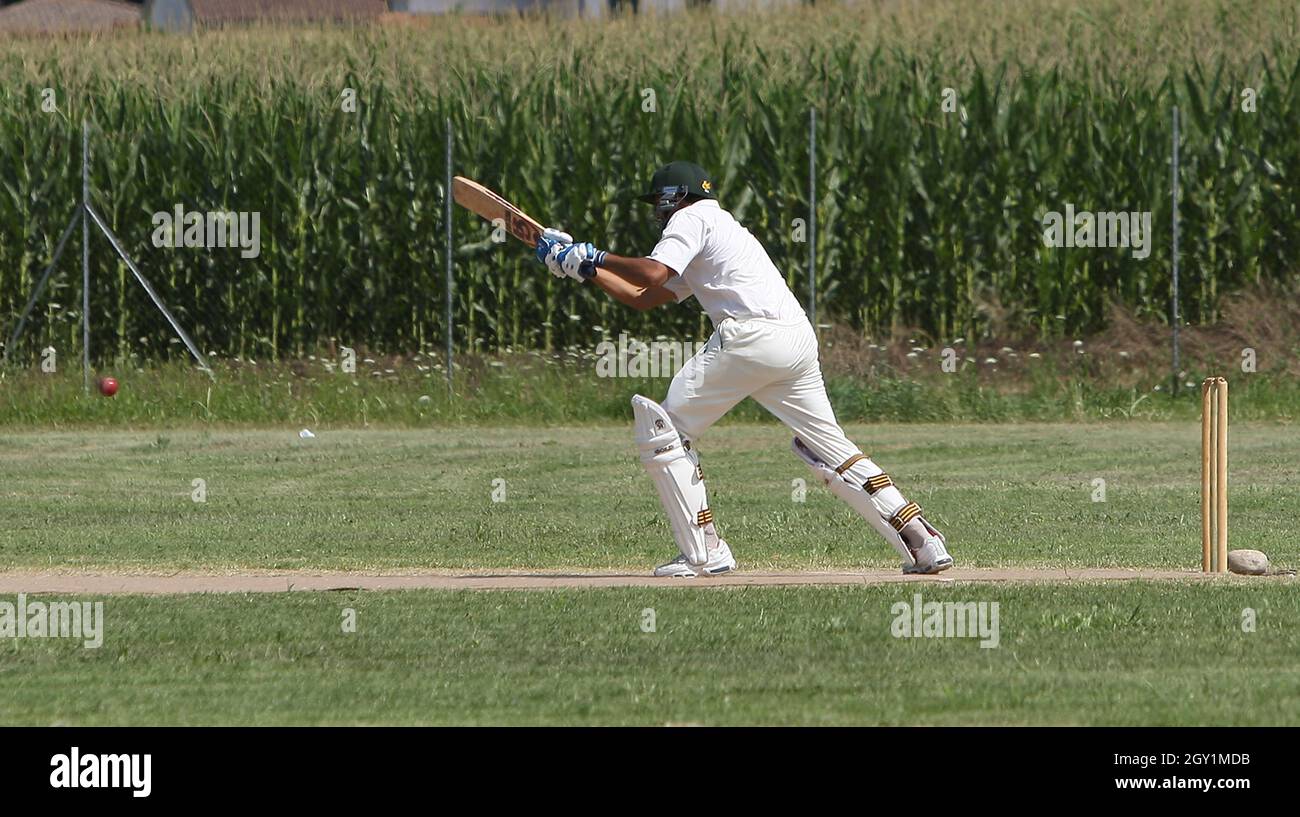 Cricket, game, sport, athletes, team Stock Photo - Alamy