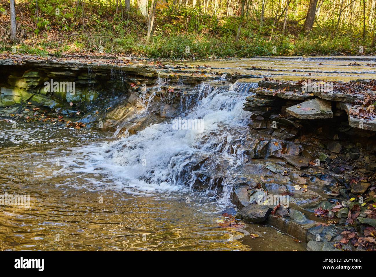 Fall forest with leaves and waterfall over slates of rock Stock Photo ...