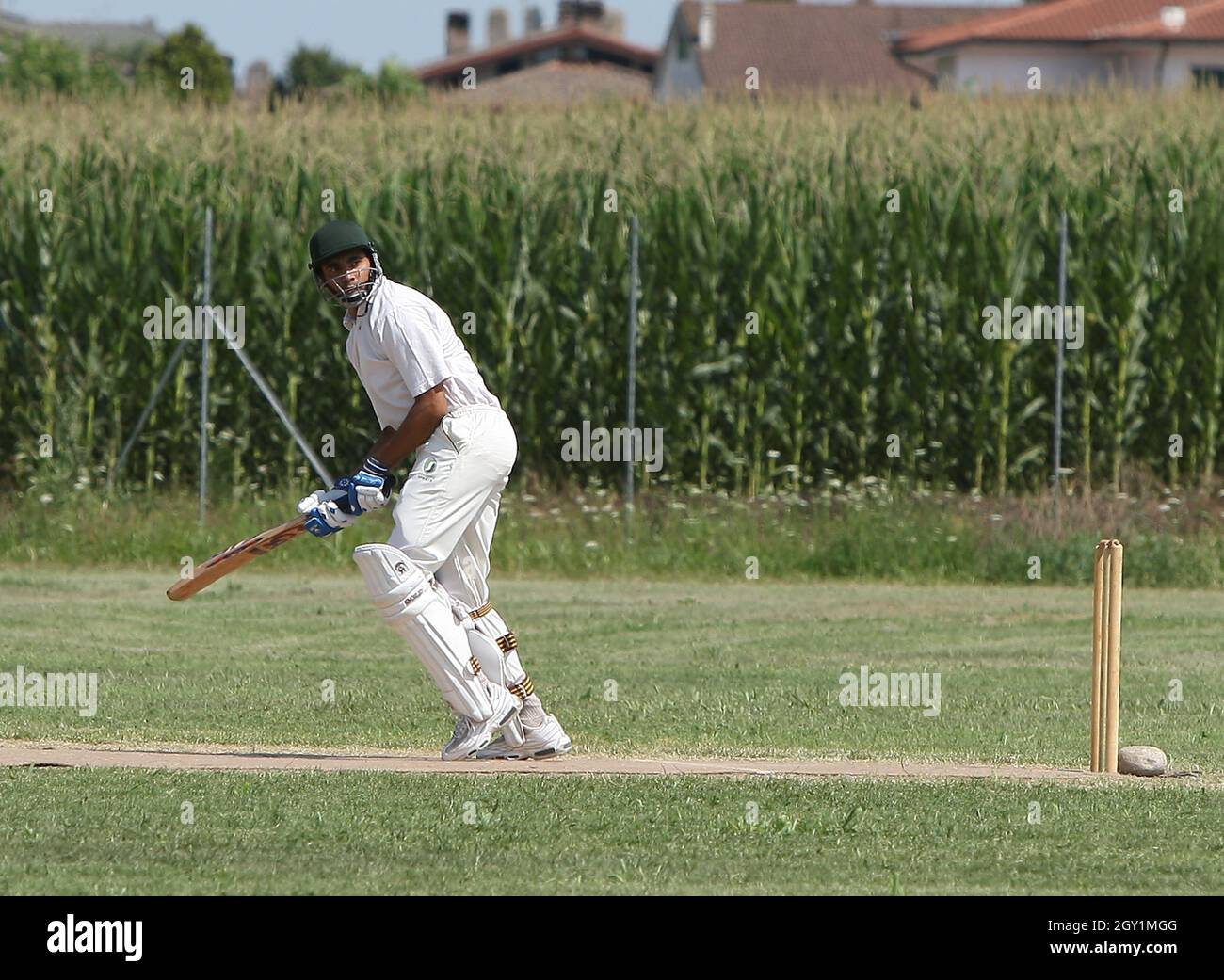Cricket, game, sport, athletes, team Stock Photo - Alamy