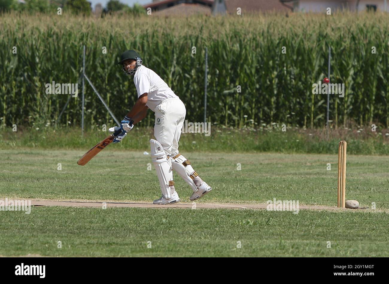 Cricket, game, sport, athletes, team Stock Photo - Alamy