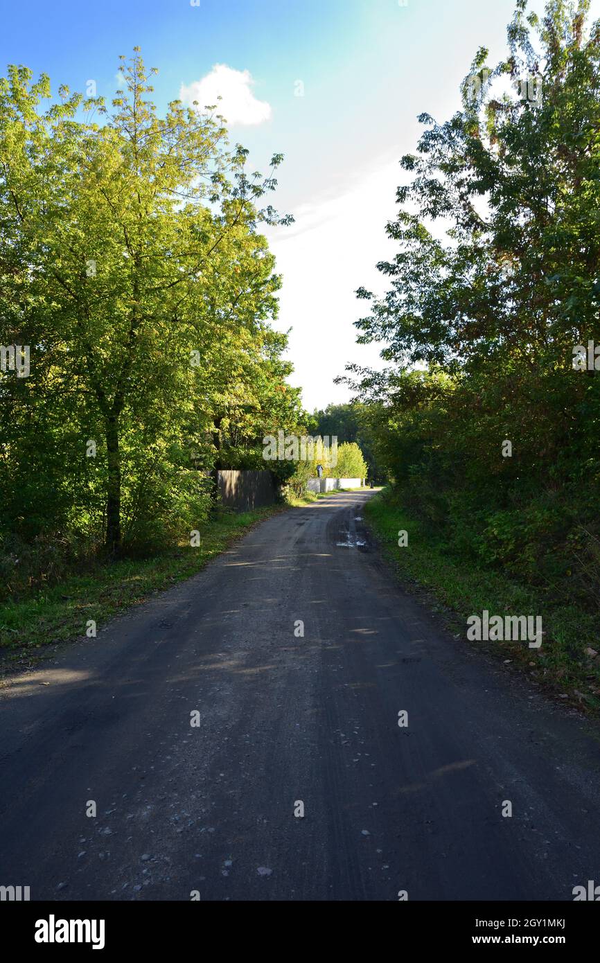 Mud on tree hi-res stock photography and images - Alamy