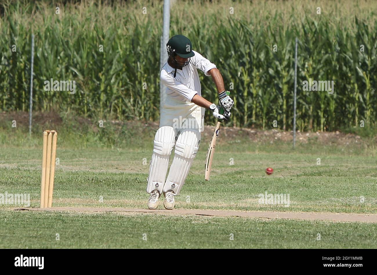 Cricket, game, sport, athletes, team Stock Photo - Alamy