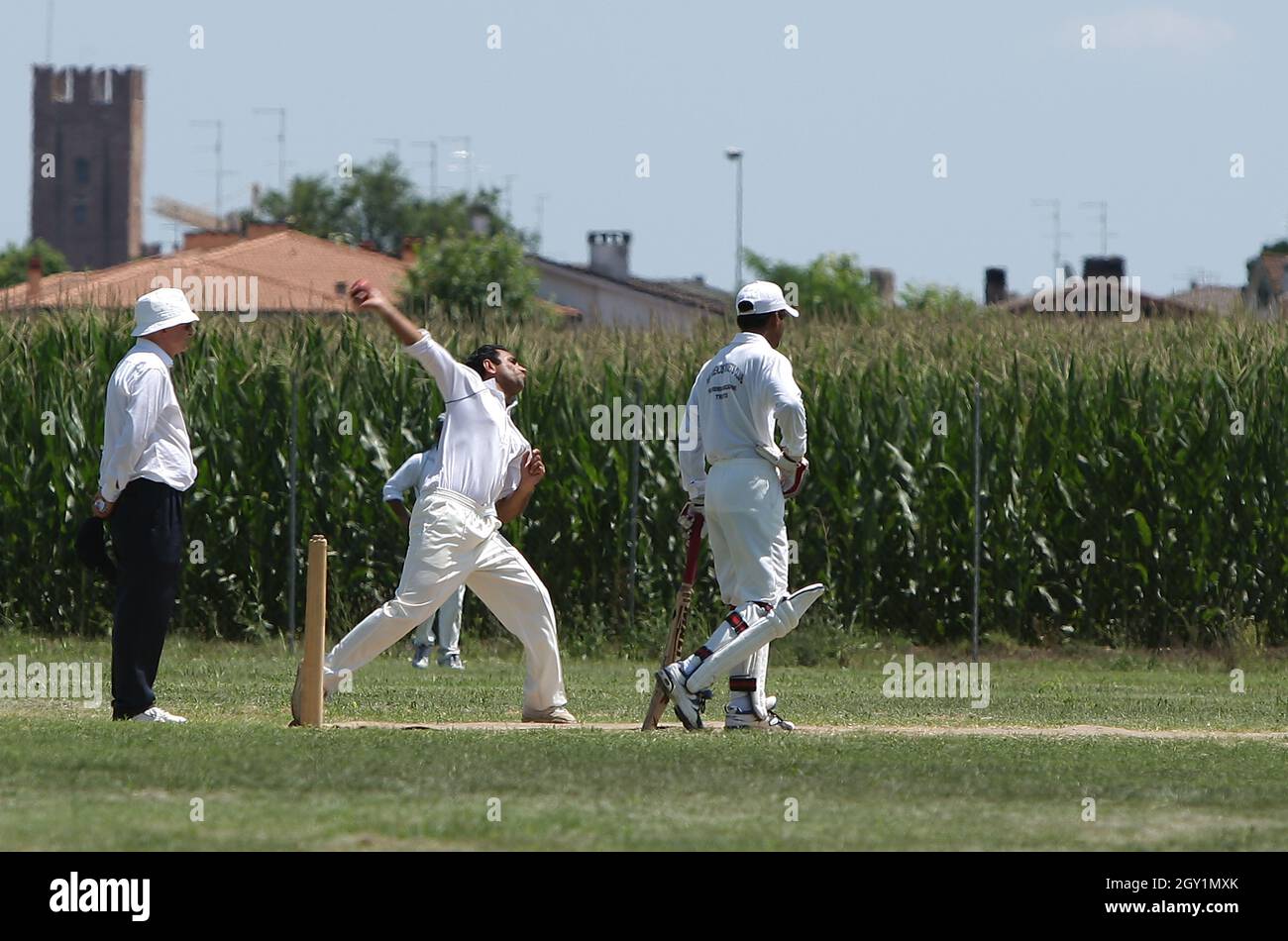 Cricket, game, sport, athletes, team Stock Photo - Alamy