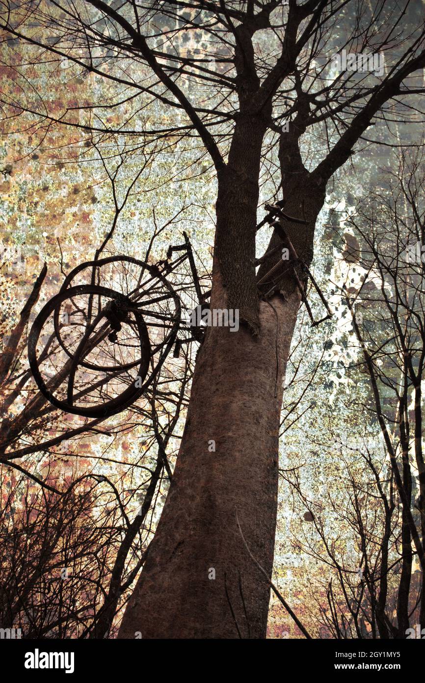 Large tree with hanging cage trap with rough rust texture background ...