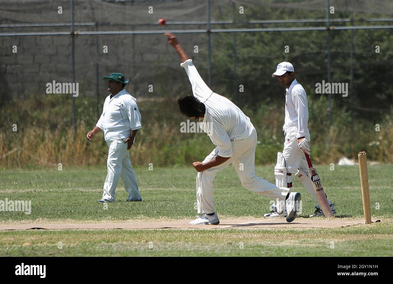 Cricket, game, sport, athletes, team Stock Photo - Alamy