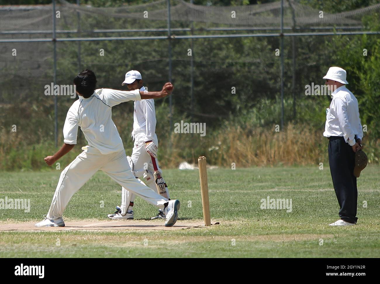 What Is The Sport Of Cricket at Clinton Spears blog