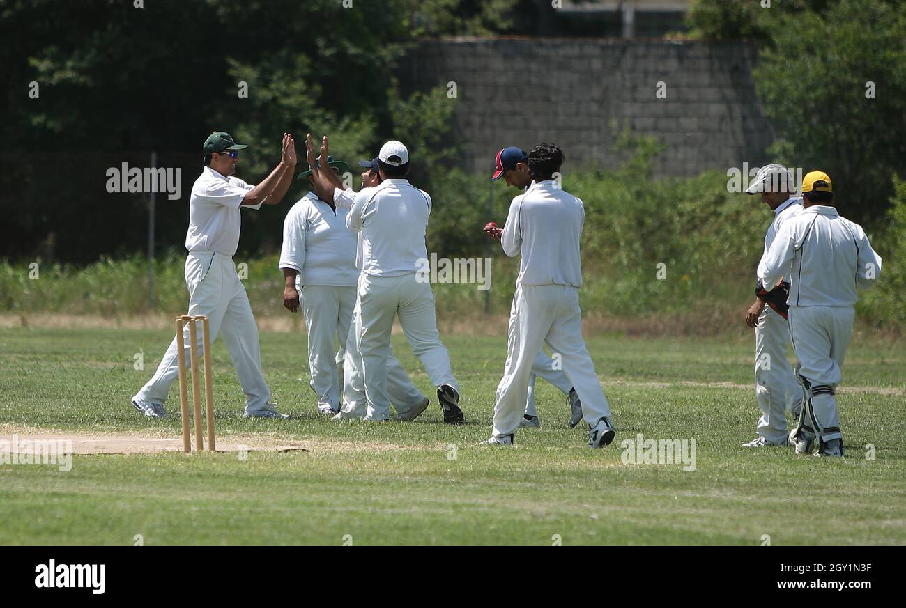 Cricket, game, sport, athletes, team Stock Photo - Alamy