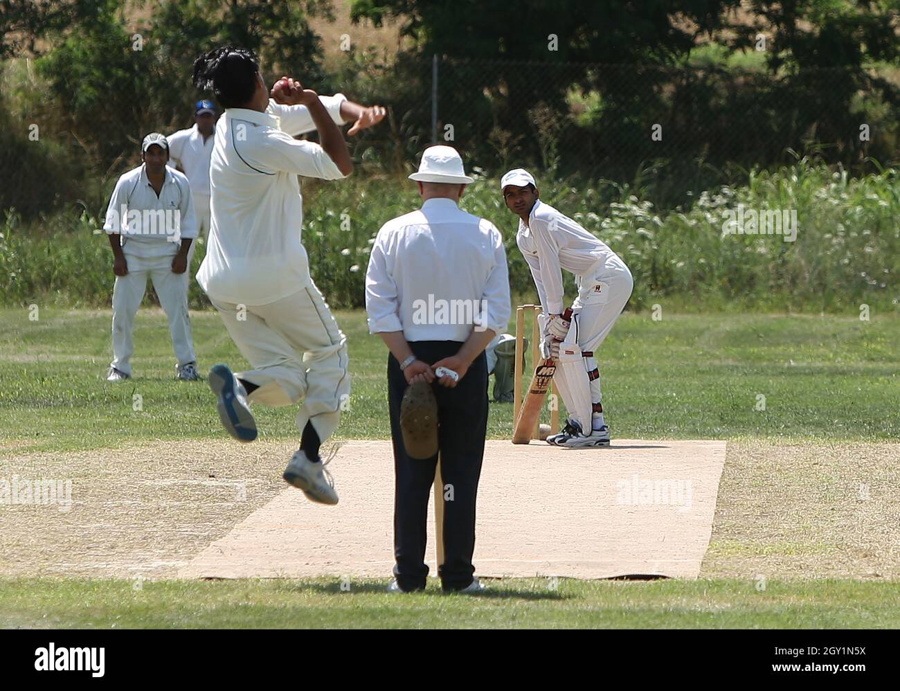 Cricket, game, sport, athletes, team Stock Photo - Alamy