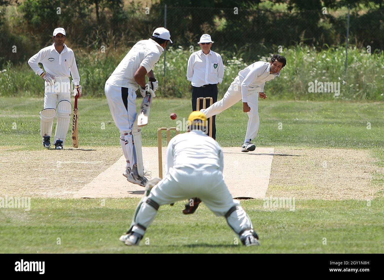Cricket, game, sport, athletes, team Stock Photo - Alamy