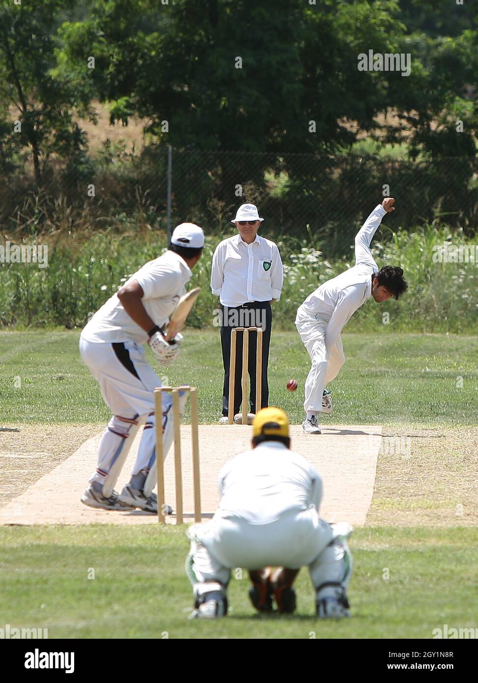 Cricket, game, sport, athletes, team Stock Photo - Alamy