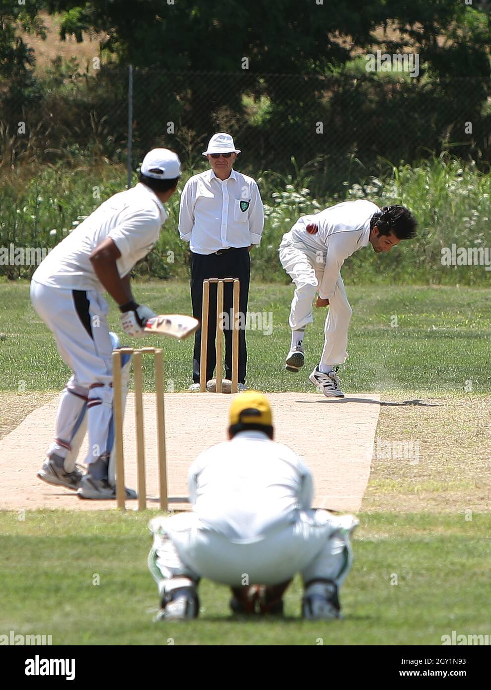 Cricket, game, sport, athletes, team Stock Photo - Alamy