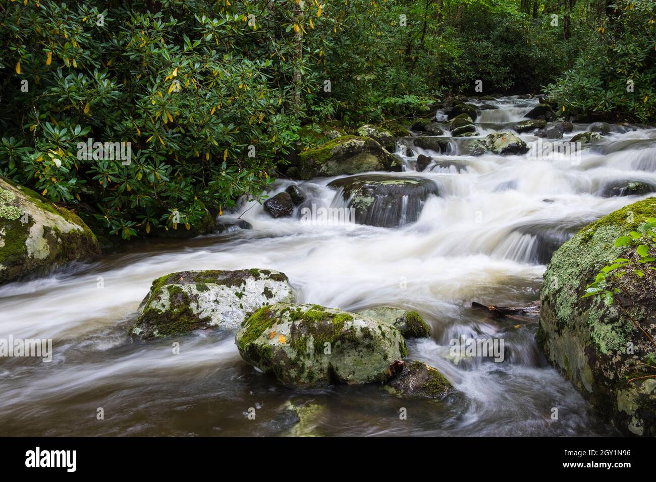 Roaring Creek in the Blue Ridge Mountains of North Carolina, United ...