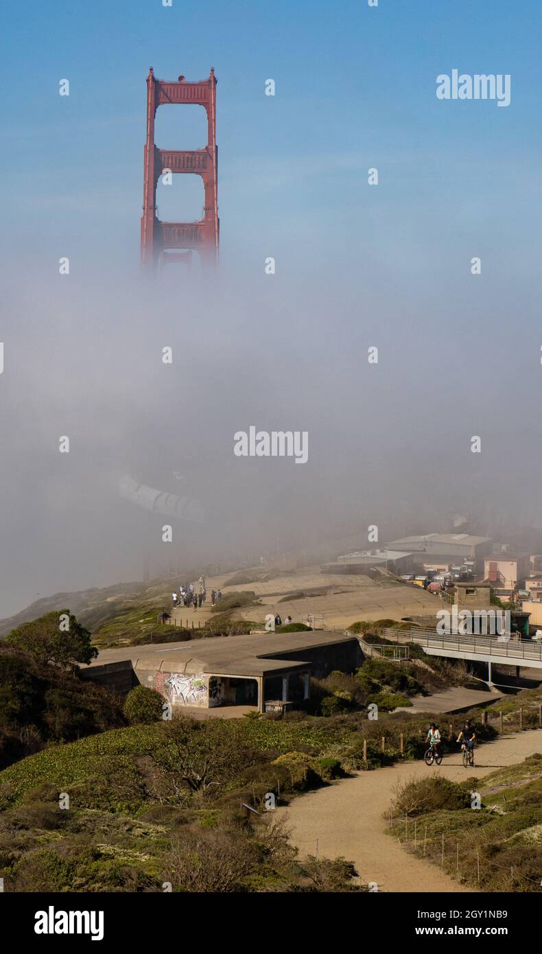view of Golden Gate brige and Cypress trees from Battery Godfrey ...