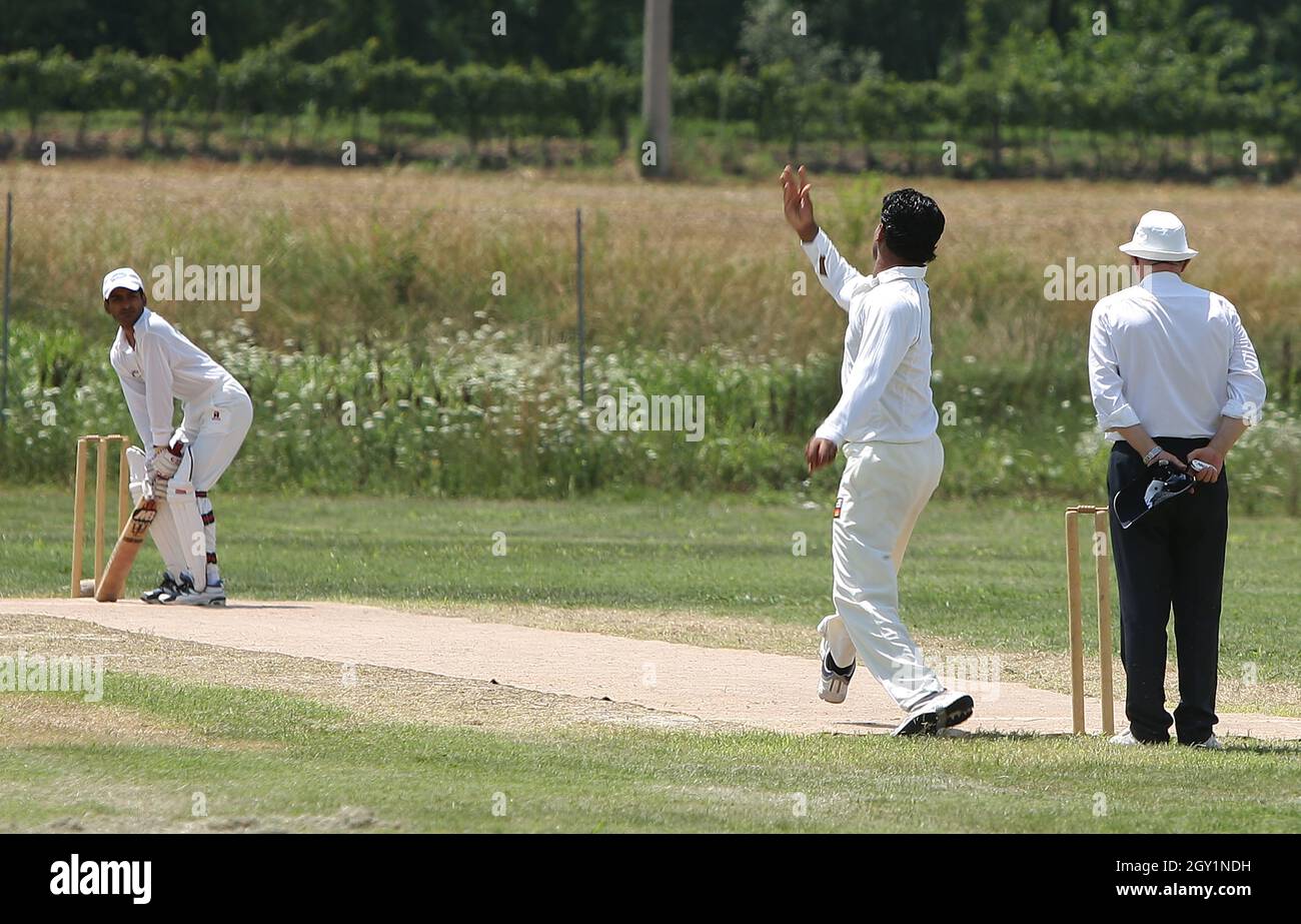 Cricket, game, sport, athletes, team Stock Photo - Alamy
