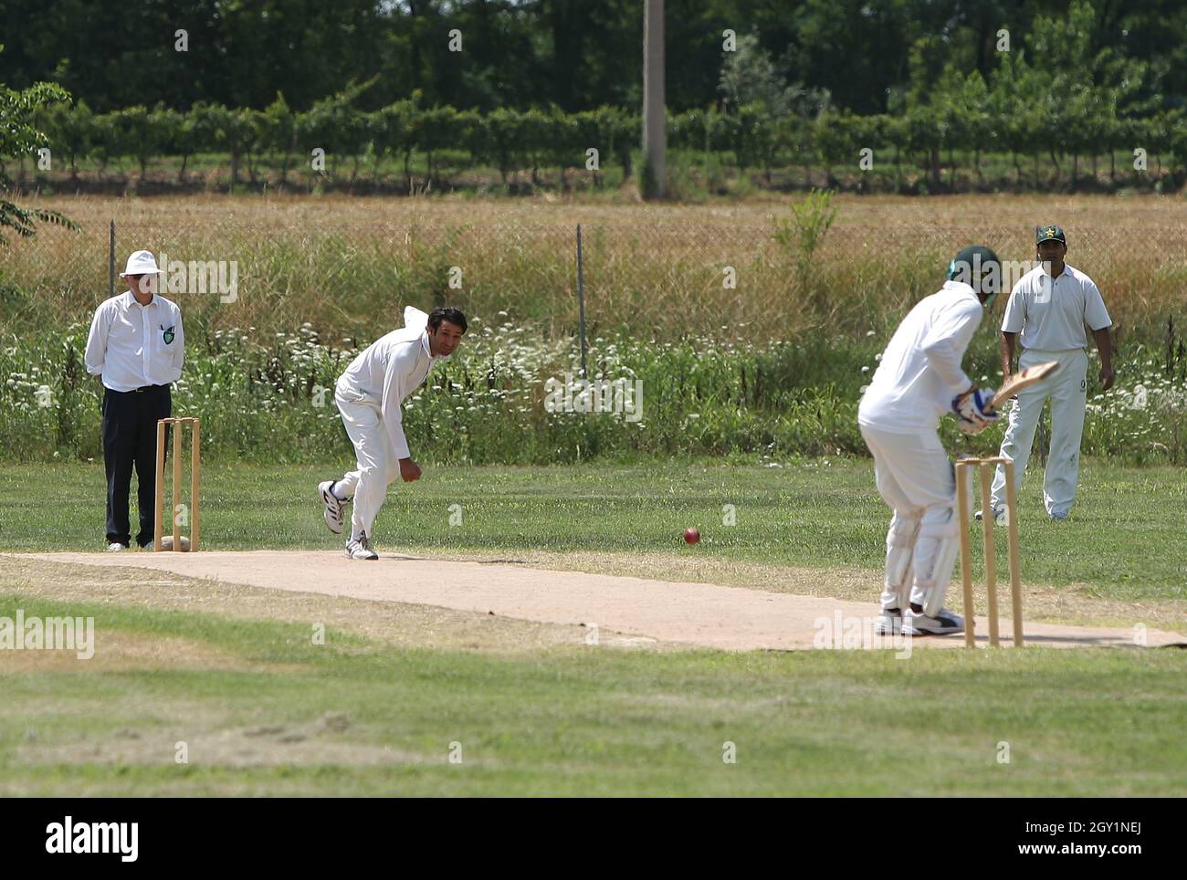 Cricket, game, sport, athletes, team Stock Photo - Alamy