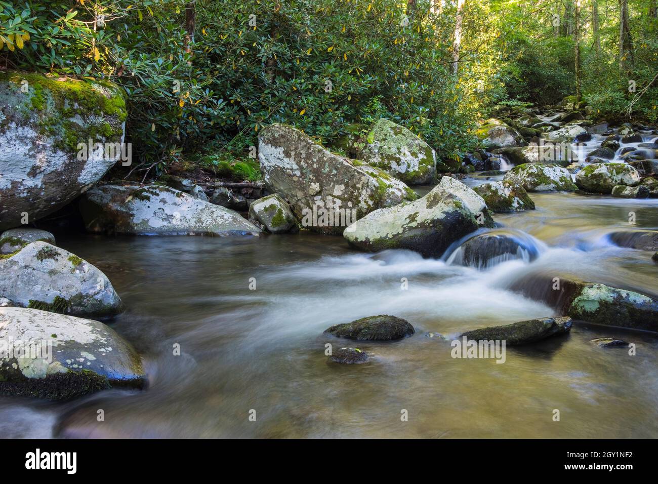 Roaring Creek in the Blue Ridge Mountains of North Carolina, United ...
