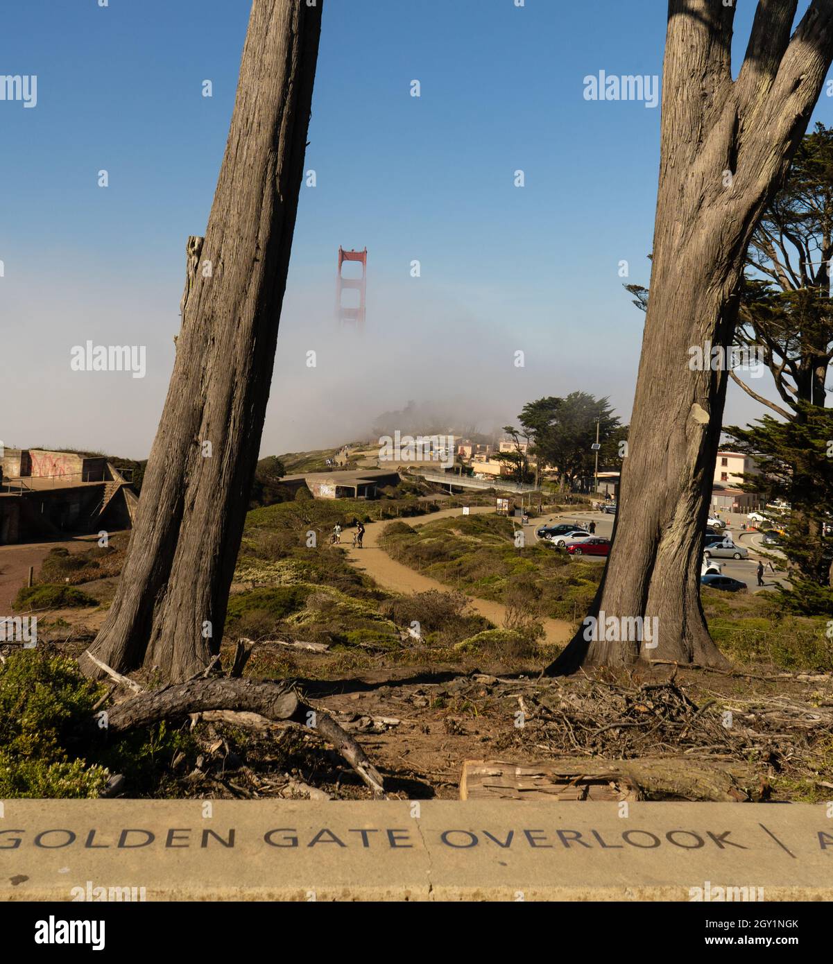 view of Golden Gate brige and Cypress trees from Battery Godfrey ...