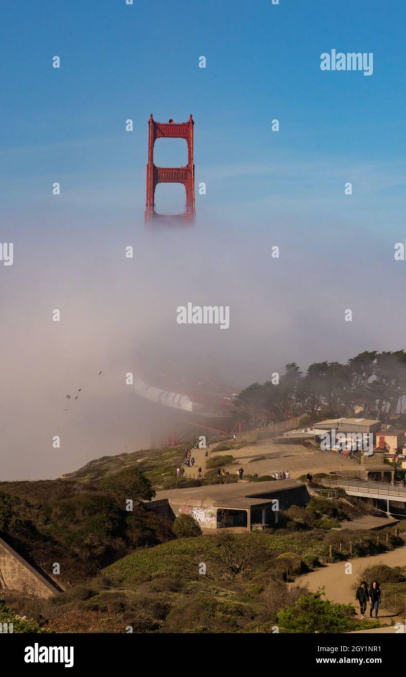 view of Golden Gate brige and Cypress trees from Battery Godfrey ...