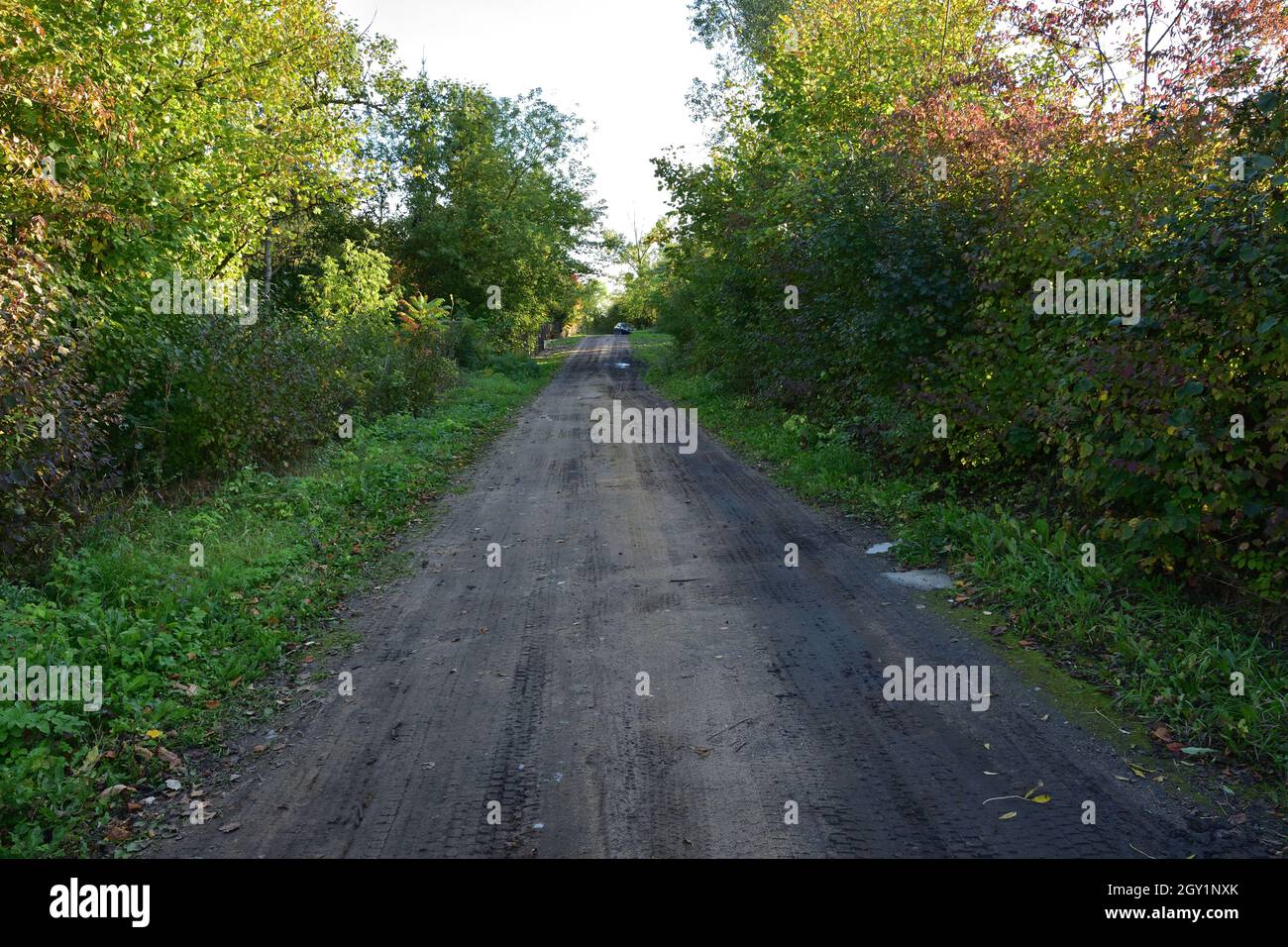 Mud on tree hi-res stock photography and images - Alamy