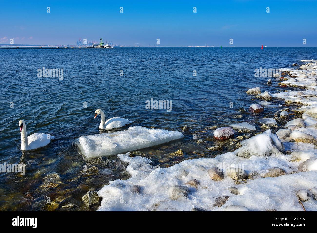 Snow on the beach and the frozen Baltic Sea. Beautiful winter landscape ...