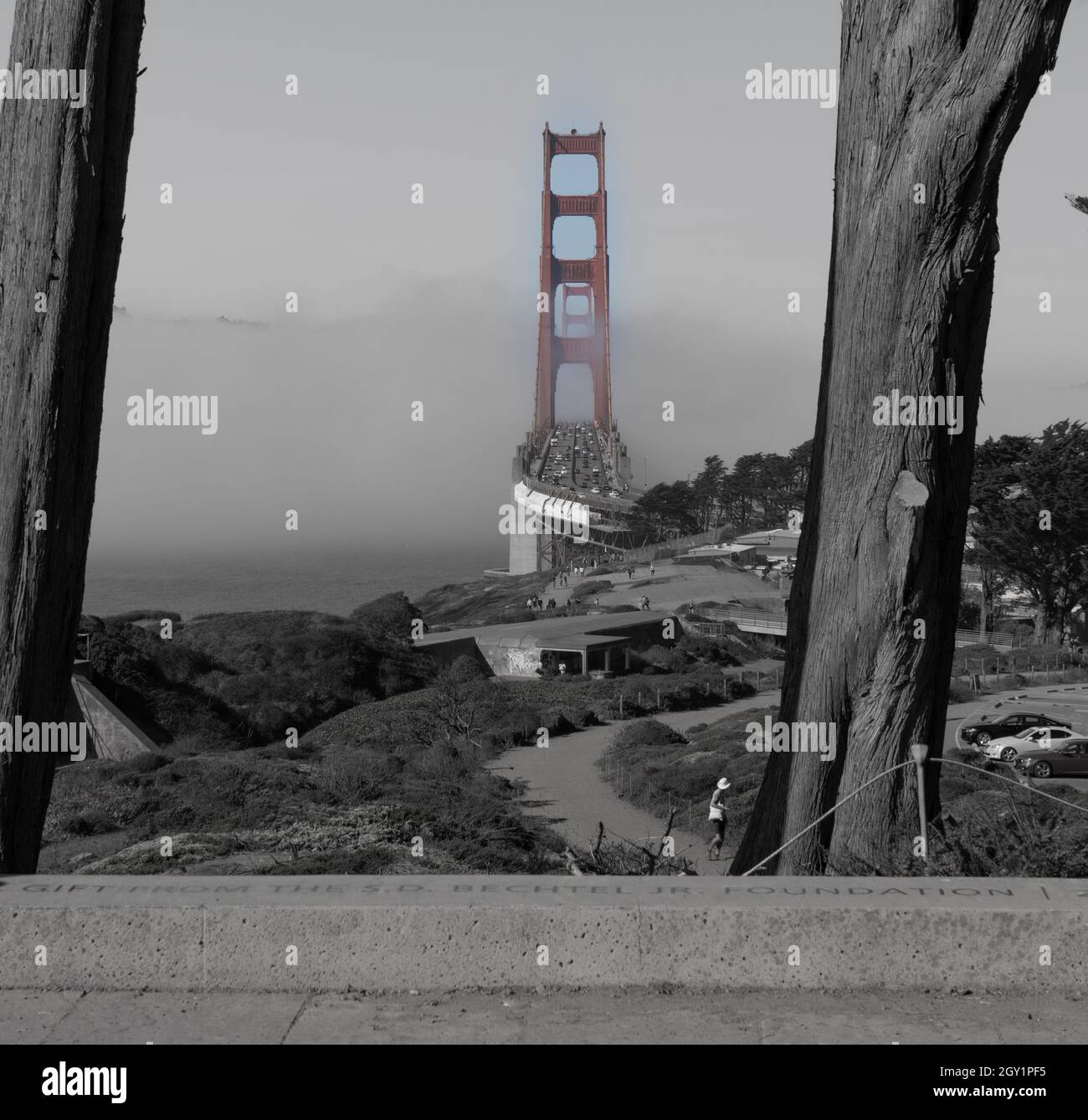 view of Golden Gate brige and Cypress trees from Battery Godfrey ...