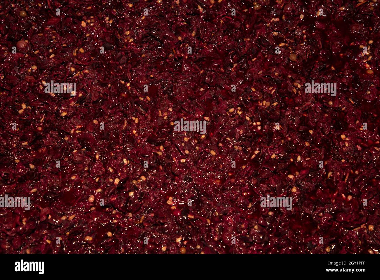 Technology of wine production.Wine-making.The ancient tradition of ...