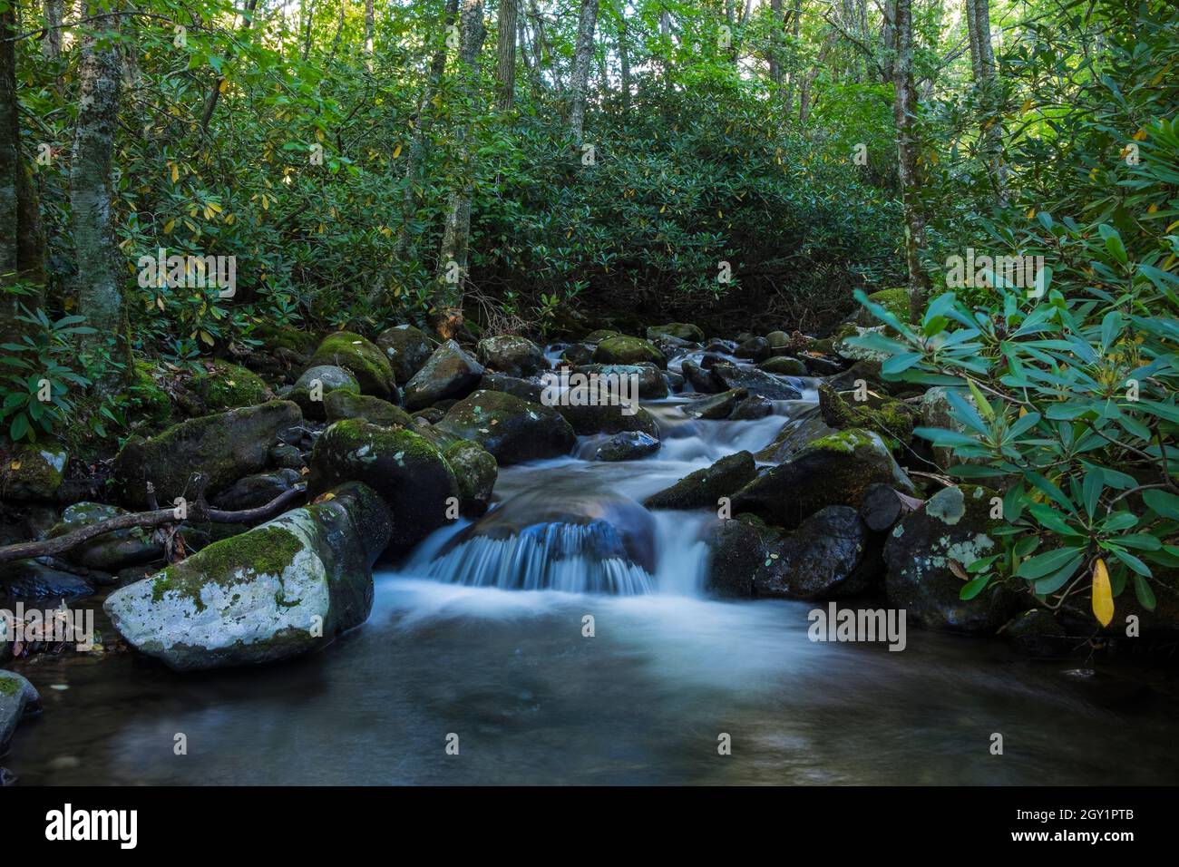 Roaring Creek in the Blue Ridge Mountains of North Carolina, United ...