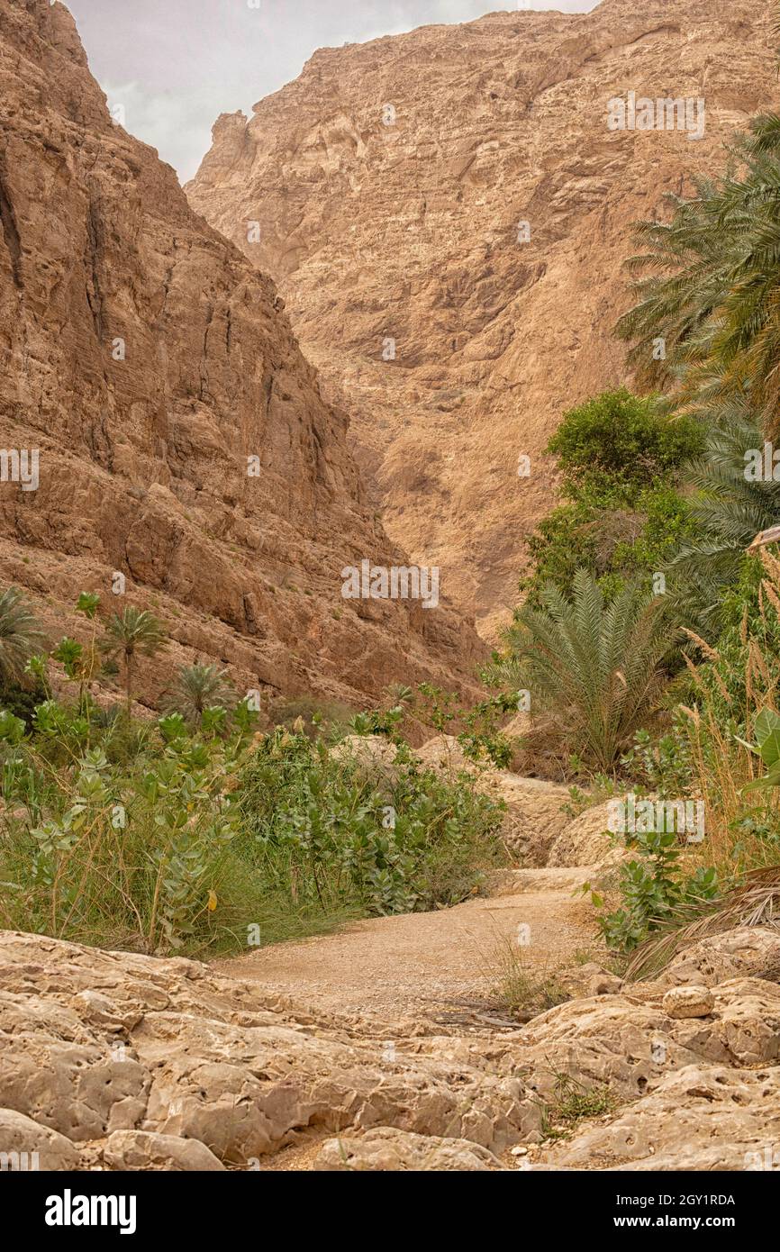 Wadi Shab river canyon with rocky cliffs , Sultanate of Oman Stock ...