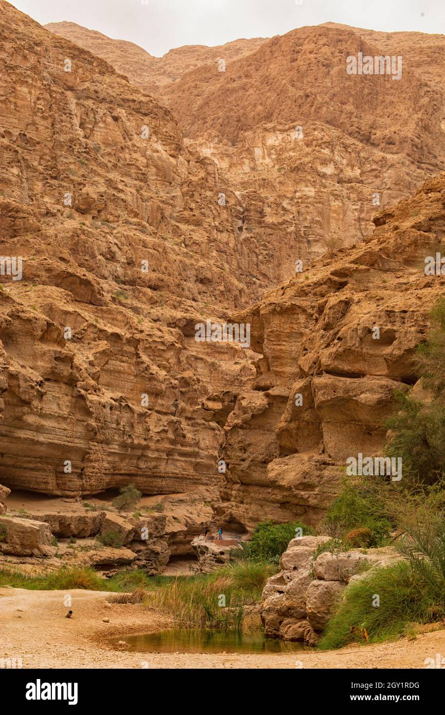 Wadi Shab river canyon with rocky cliffs , Sultanate of Oman Stock ...