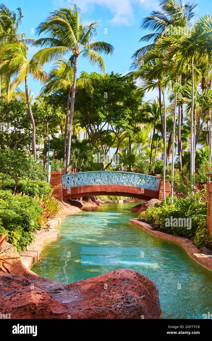 Vertical of lazy river in tropics with walking bridge and palm trees ...