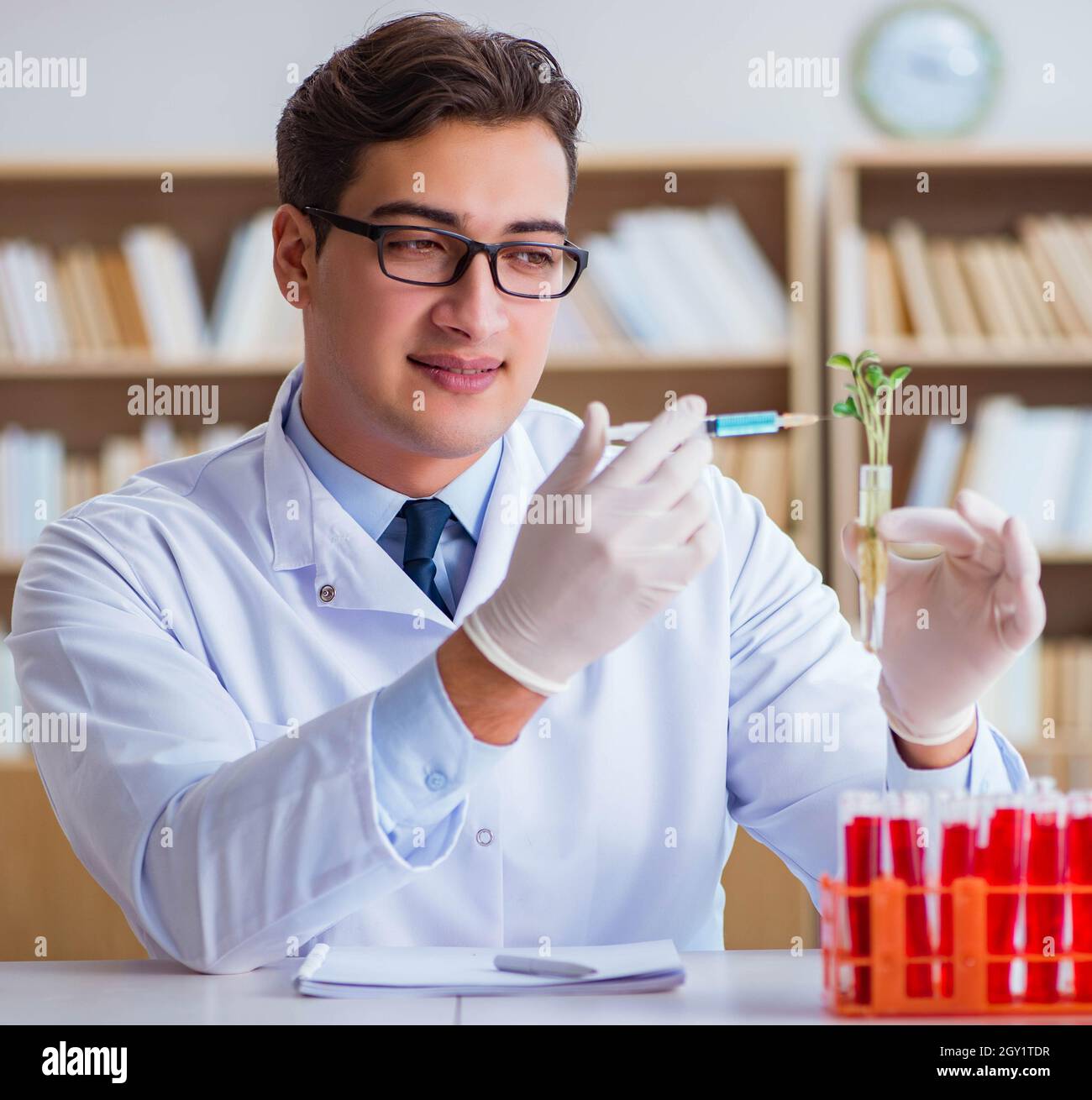 The biotechnology scientist working in the lab Stock Photo - Alamy